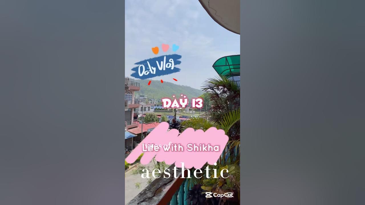 LwS day 13 /100 #vlog #youtube #youtubeshorts #lifewithshikha #minivlog #dailyvlog #dailyvideos ...
