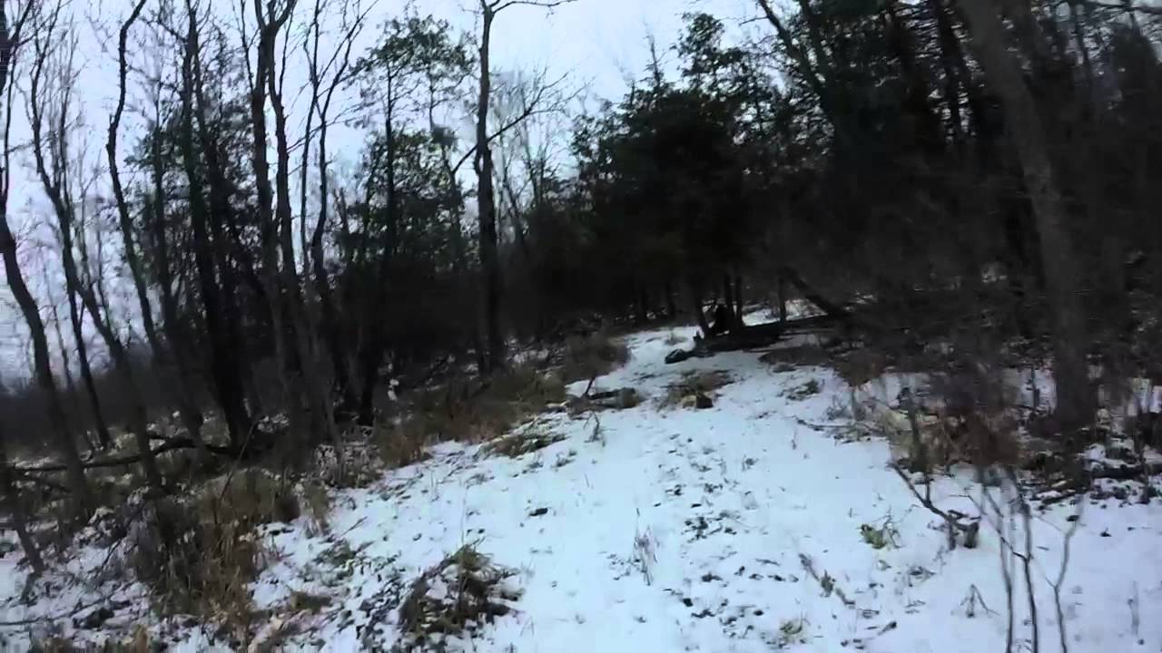 10 Pointer Gun Deer Opener 2014 - YouTube
