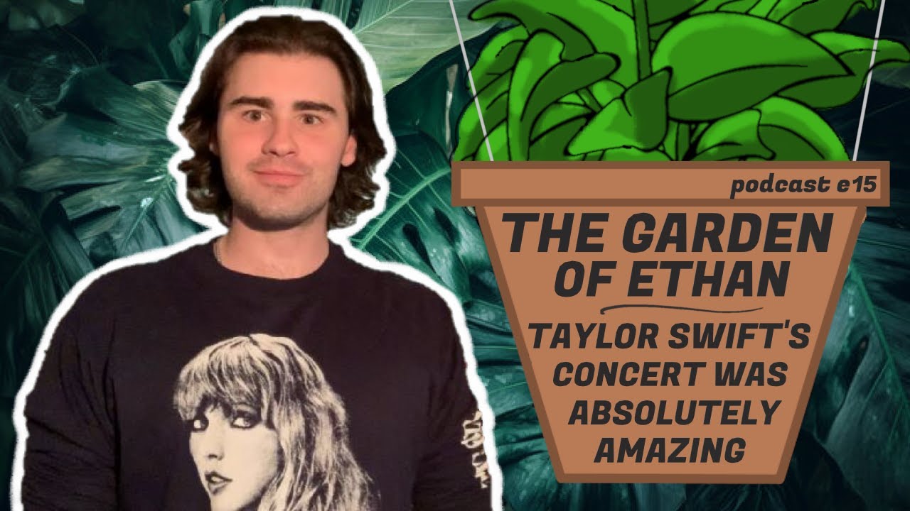 The Garden of Ethan - TAYLOR SWIFT'S CONCERT WAS ABSOLUTELY AMAZING ...