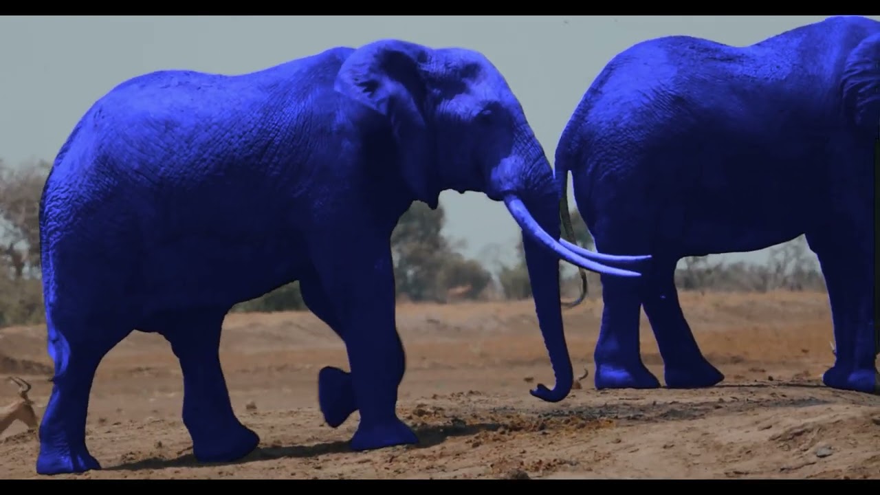 Real Blue Elephant