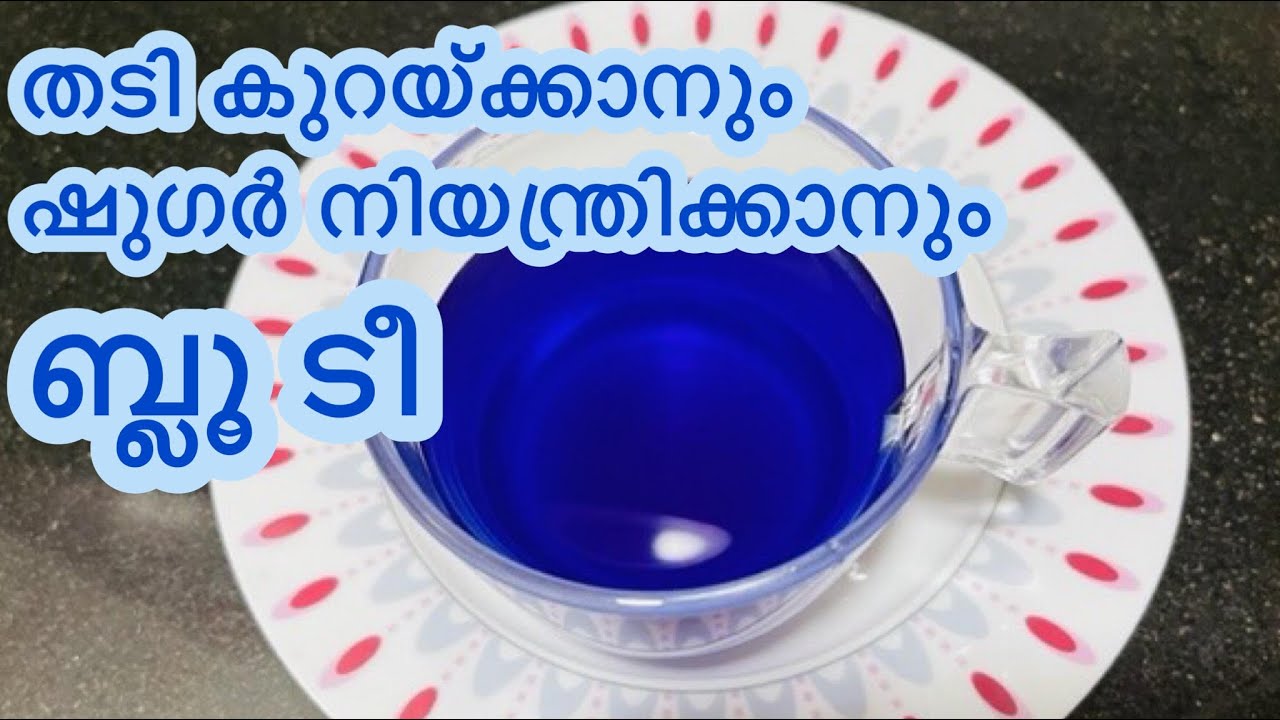 Blue Tea Recipe| Controls sugar | Weight loss | How to make blue tea ...