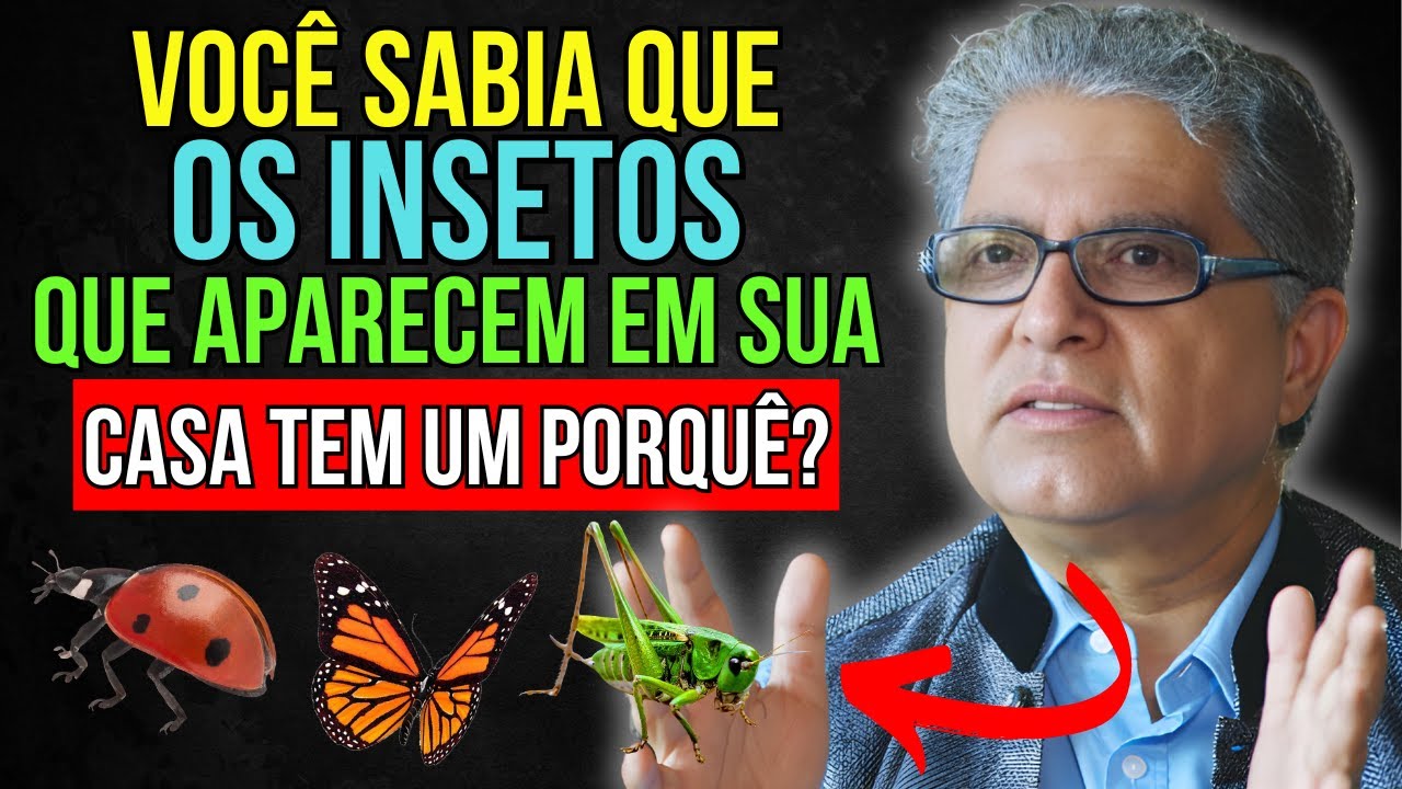 Você sabia que os INSETOS que aparecem em sua casa têm significado? 🐞🦋 ...