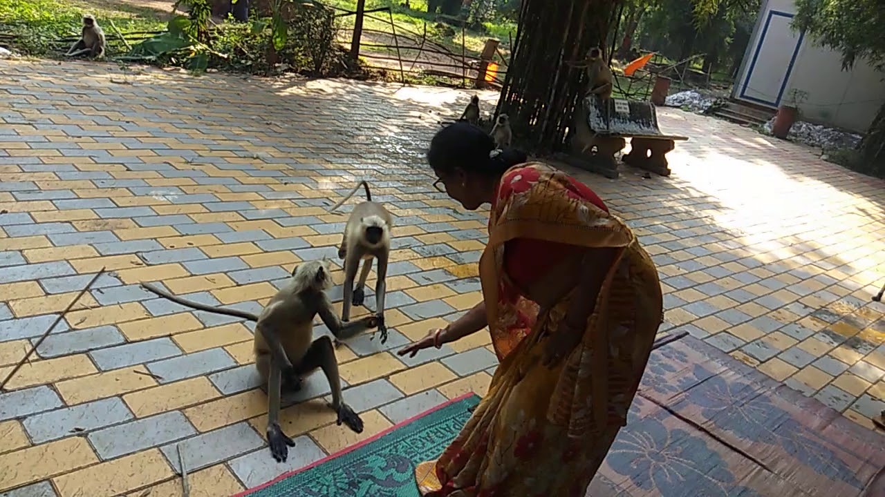 Mummy with monkey - YouTube