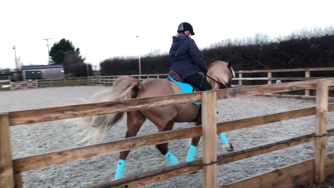 Introductory B dressage test 25/01/2018 - YouTube