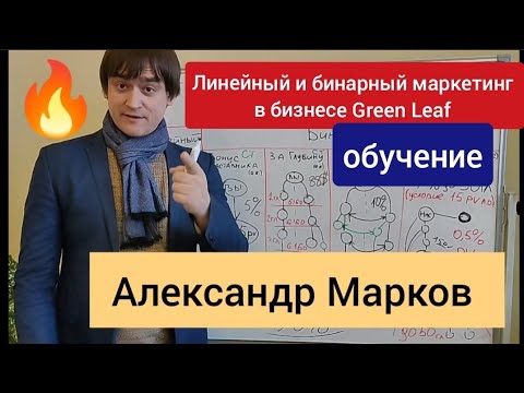 🔥Разбираем линейный и бинарный план выплат Green Leaf Грин Лиф ...