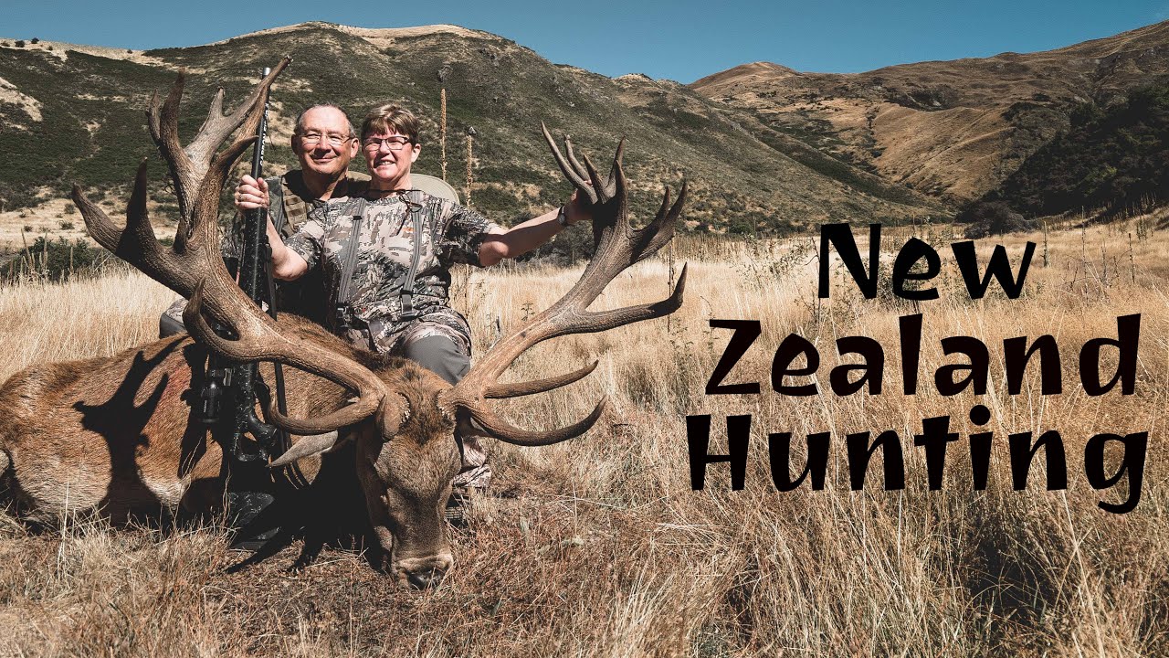 New Zealand red stag, tahr, fallow deer and chamois hunting - YouTube