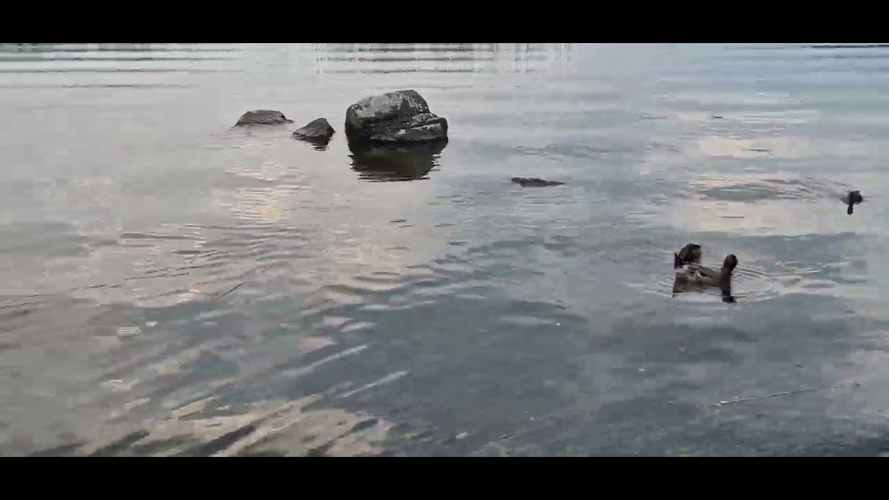 Mullingar lough lakes - YouTube