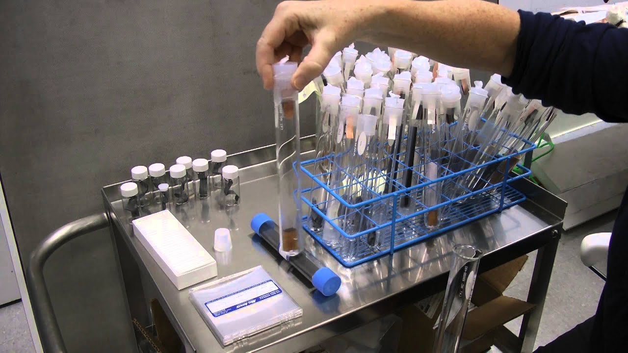 IMA Conservation: The Oddy Test - YouTube