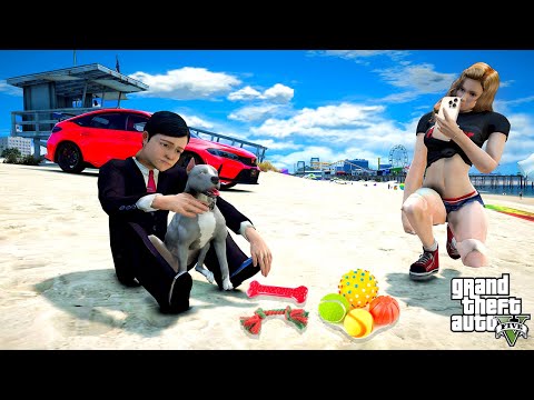 KÜÇÜK PİTBULL GRİ İYİLEŞTİ! SÜLEYMAN ONU EVLAT EDİNDİ! - GTA 5 GERÇEK HAYAT MODU