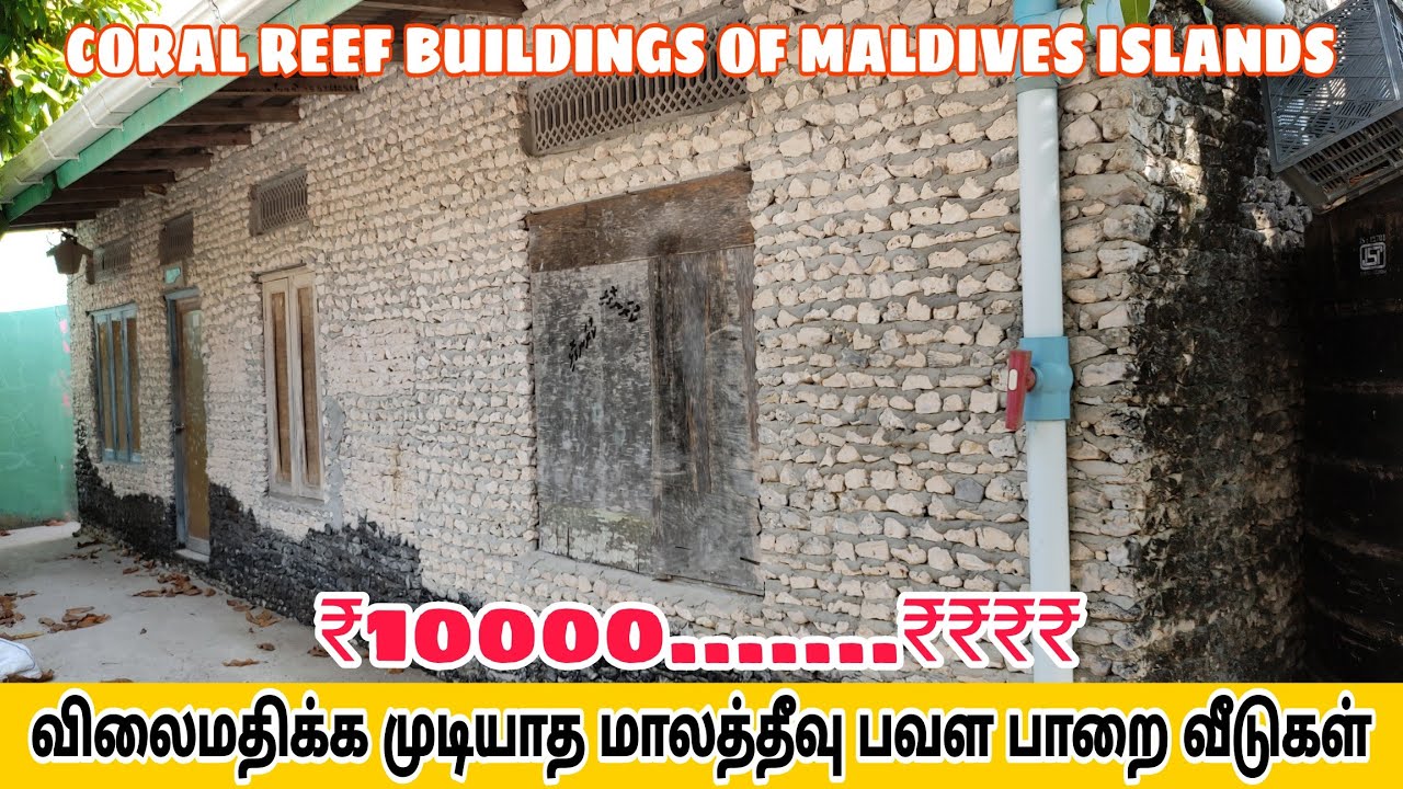 Maldives Traditional Coral reef building house | பவள பாறை வீடுகள் - YouTube