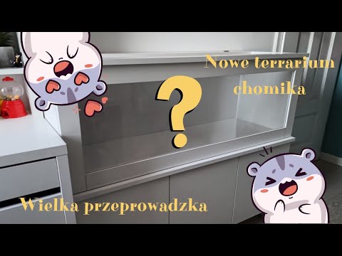 Nowe terrarium chomika | Wielka przeprowadzka #hamster #chomik # ...