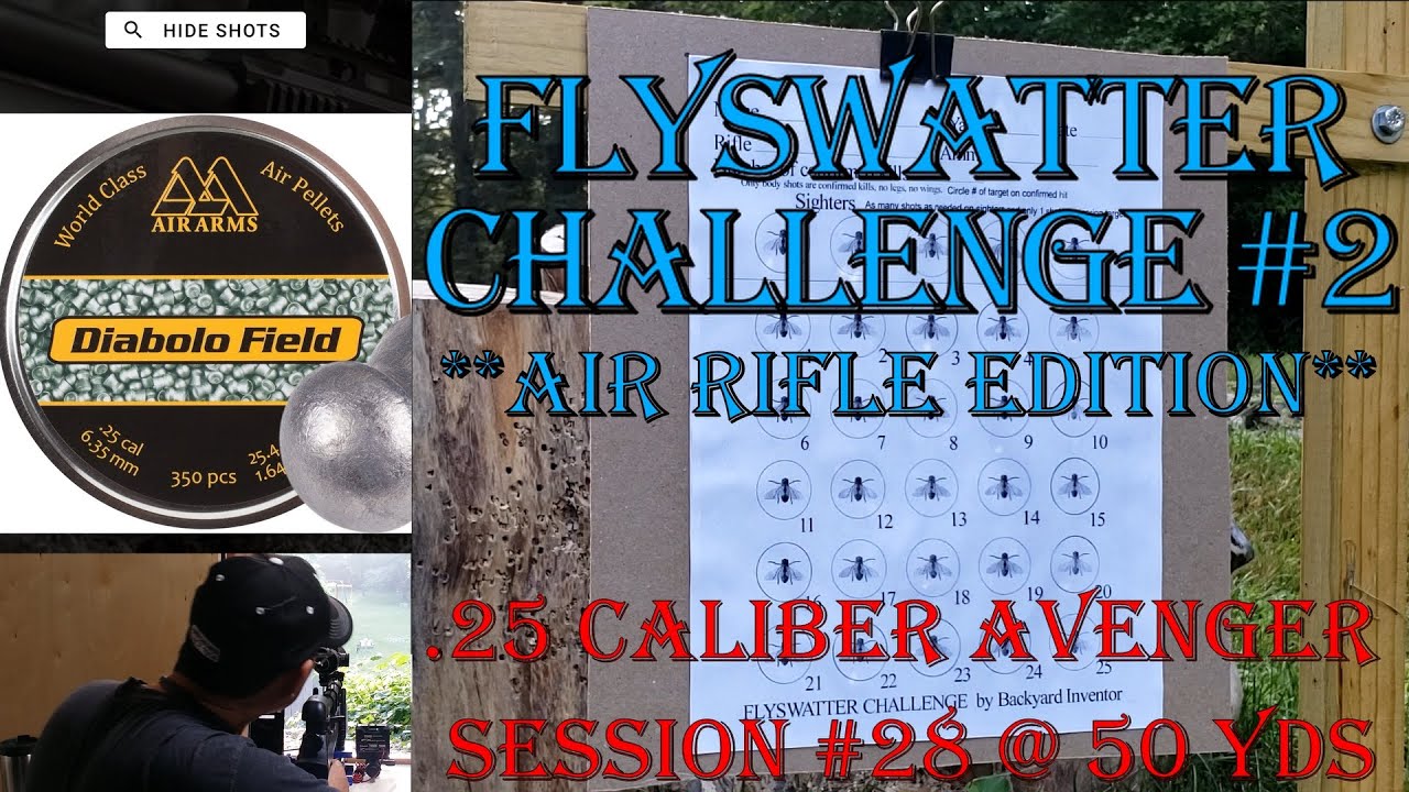 FLYSWATTER CHALLENGE (DAYATTHERANGE), AIR RIFLE EDITION #2 | .25 Avenger BP - YouTube