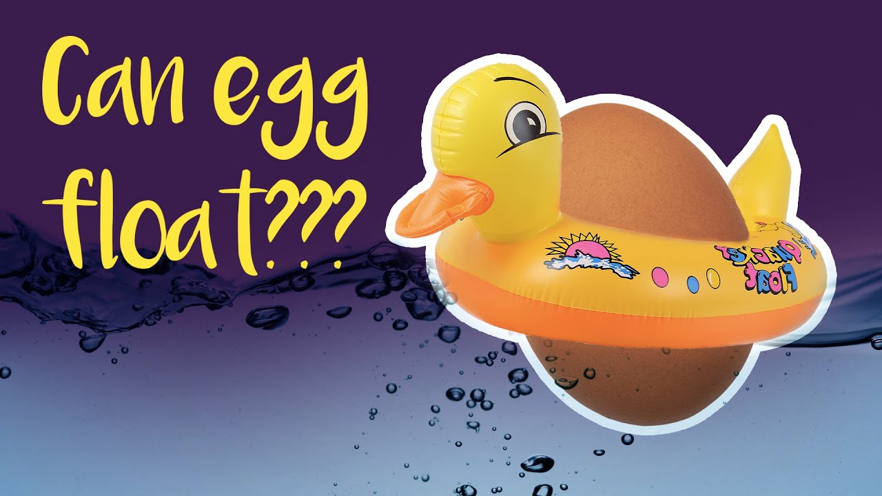 How to make an egg float? My first Youtube video “Eggs and Salt” - Water Density Science ...