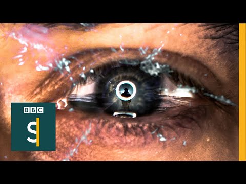 Online child sexual abuse: I couldn't stop looking - BBC Stories