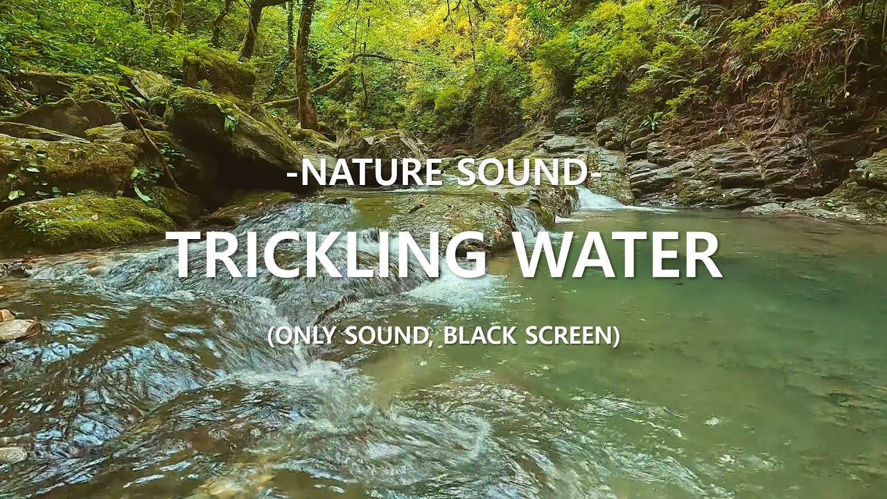 Nature Sound - Trickling Water (No Ads, Black Screen, 1Hours) - YouTube