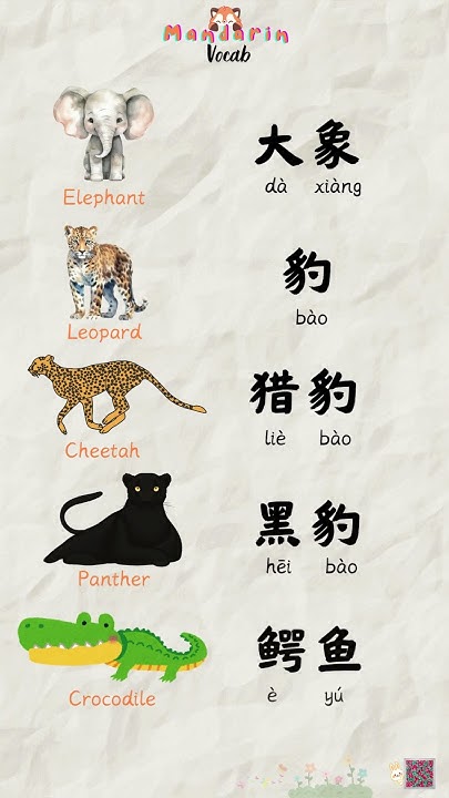 Learn Chinese Animal Names in 20s! 🐘🐆🐊 #mandarinchinese #animalsname # ...