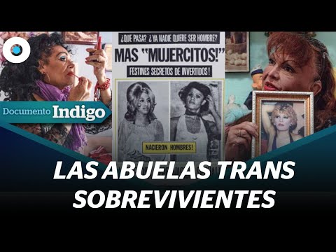 Las abuelas trans buscan dignificar su vejez |  Reporte Indigo