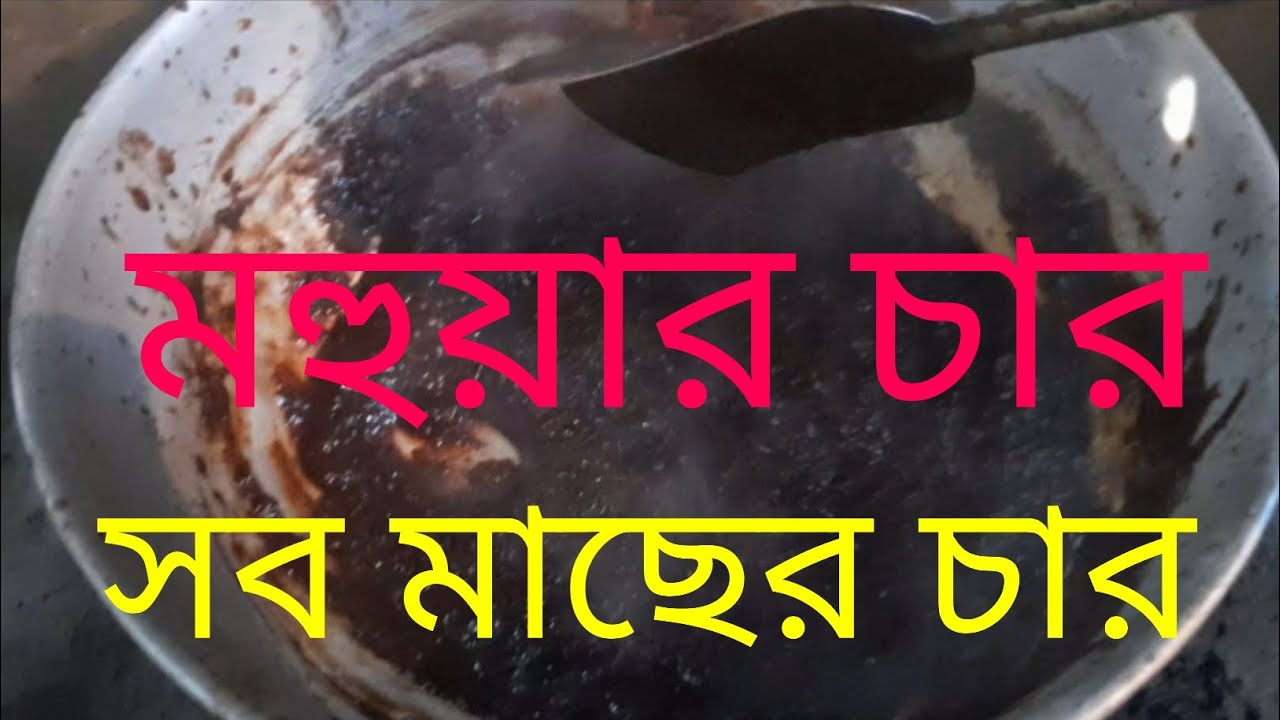 #সব মাছের চার #sob macher char #all fishing char #fishing #fish #liton ...