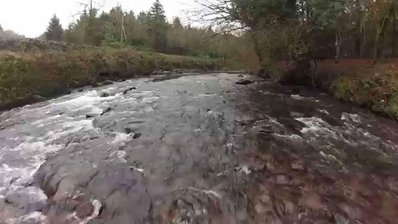 Colligan Woods Dungarvan Co. Waterford (HD) - YouTube