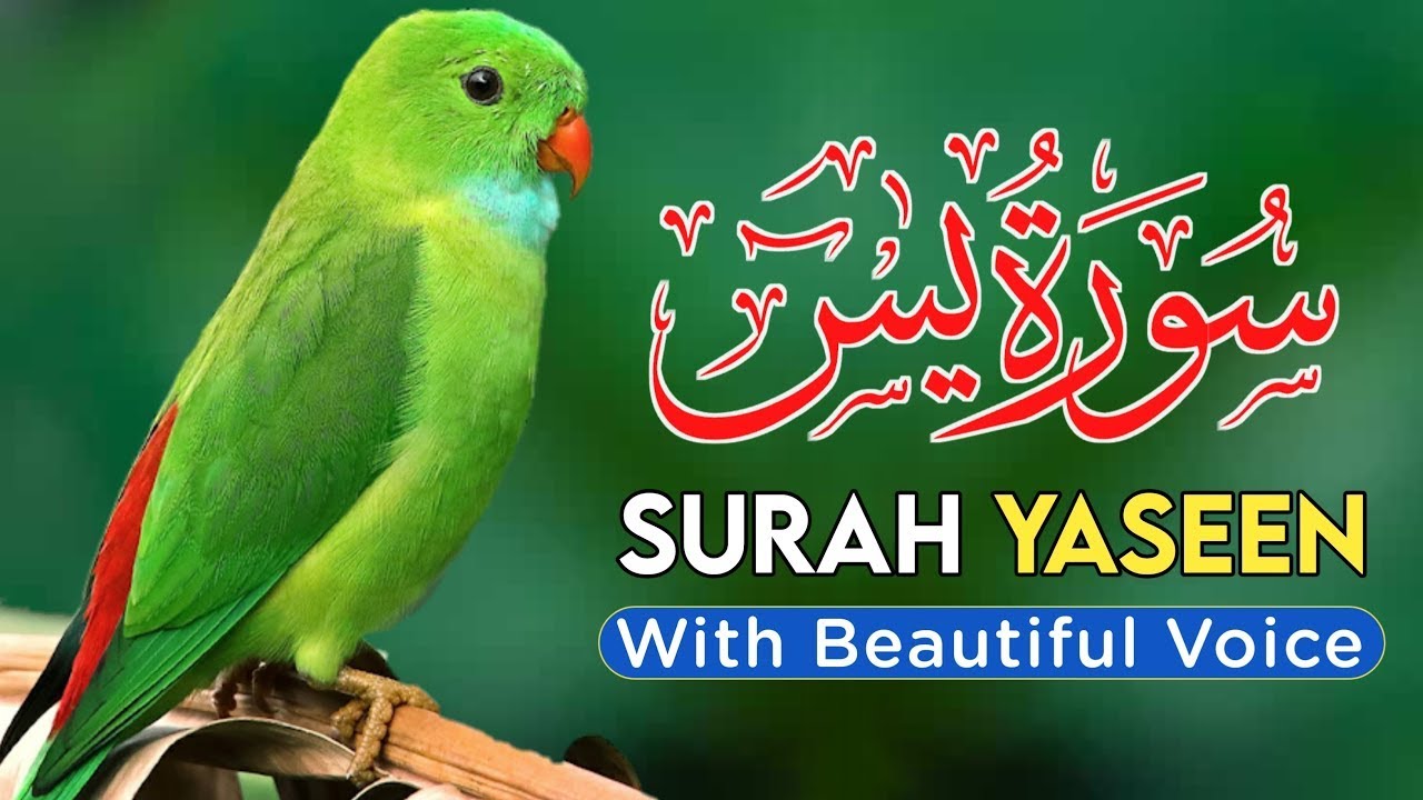 Surah Yasin(Yaseen) | Full With Arabic | Beautiful recitation|سورہ یسٰ ...