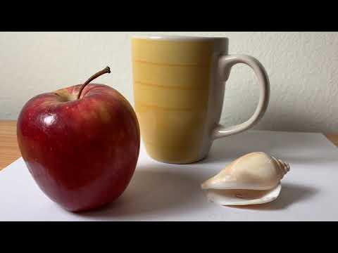 Setting up your Still Life - YouTube
