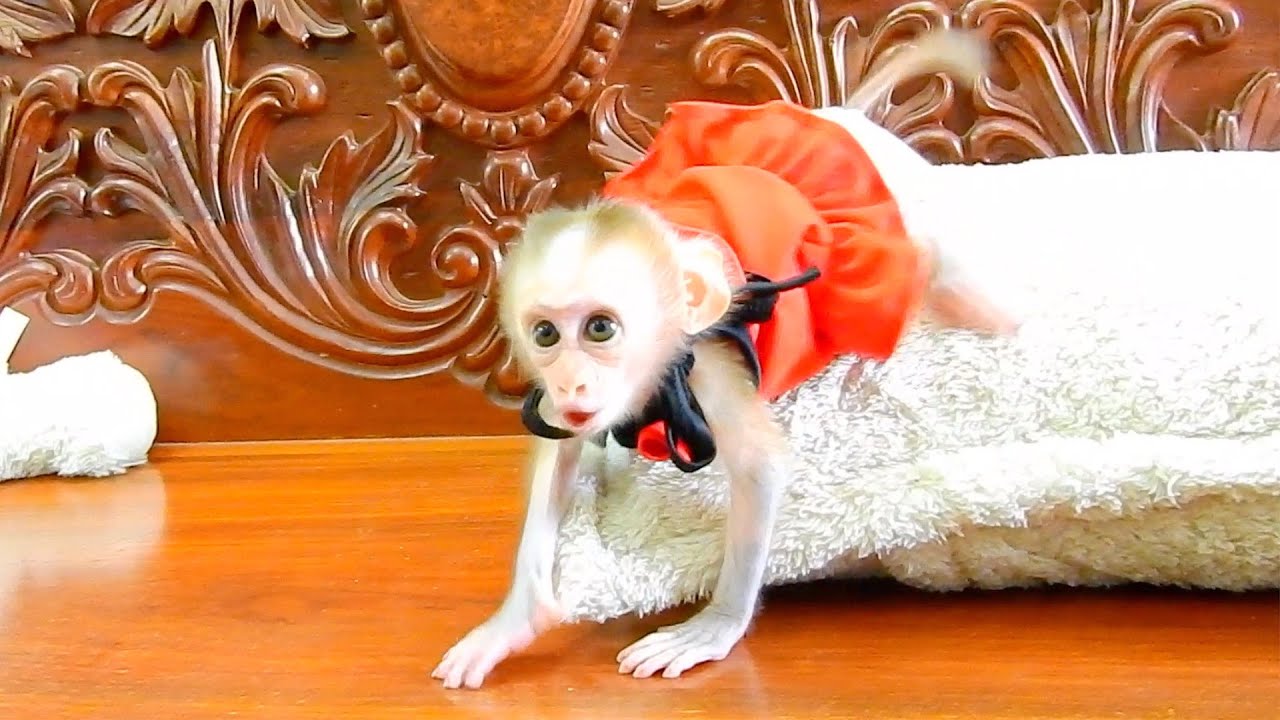 JULIE Feel Nervous To Stay Alone When Dad Leave Behind. - YouTube