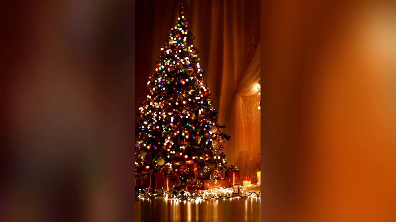 🎄🎄POZE FRUMOASE CU BRAZI🎄🎄 - YouTube