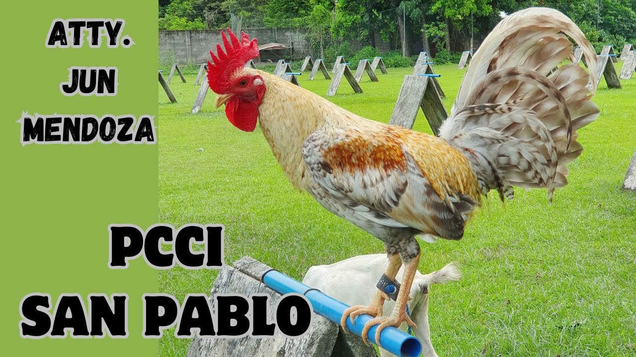 PCCI San Pablo Expo | Atty. Jun Mendoza - YouTube