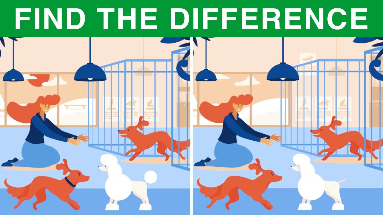 【Spot the difference】 Classic Find the difference game in 120 seconds ...