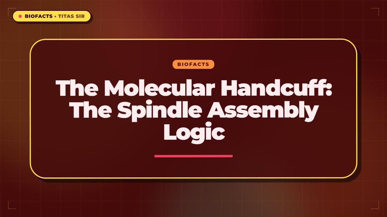 The Molecular Handcuff: The Spindle Assembly Logic | Titas Sir - YouTube