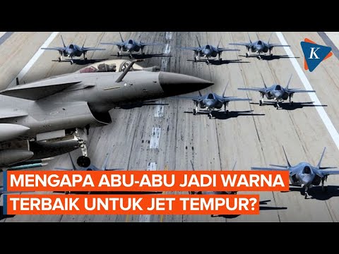 Kenapa Jet Tempur Modern Berwarna Abu-abu, padahal Dulu Warnanya Cerah?