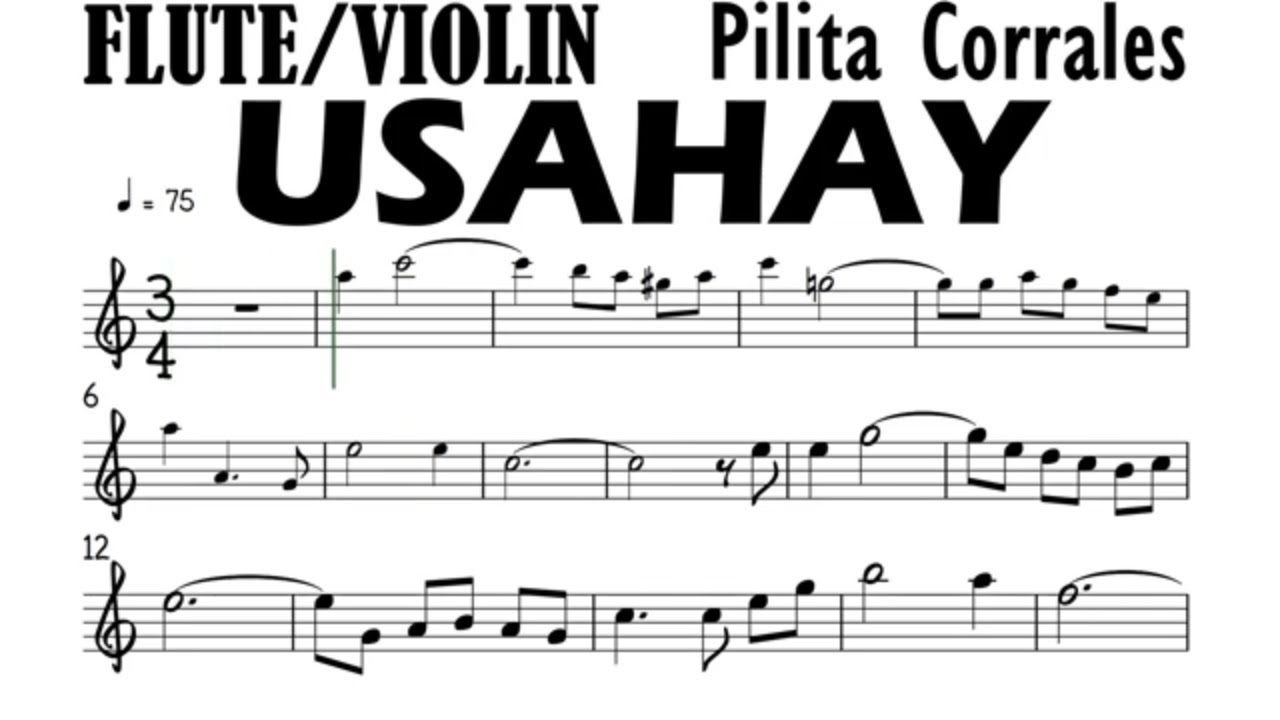 USAHAY slower Flute Violin Sheet Music Backing Track Play Along ...