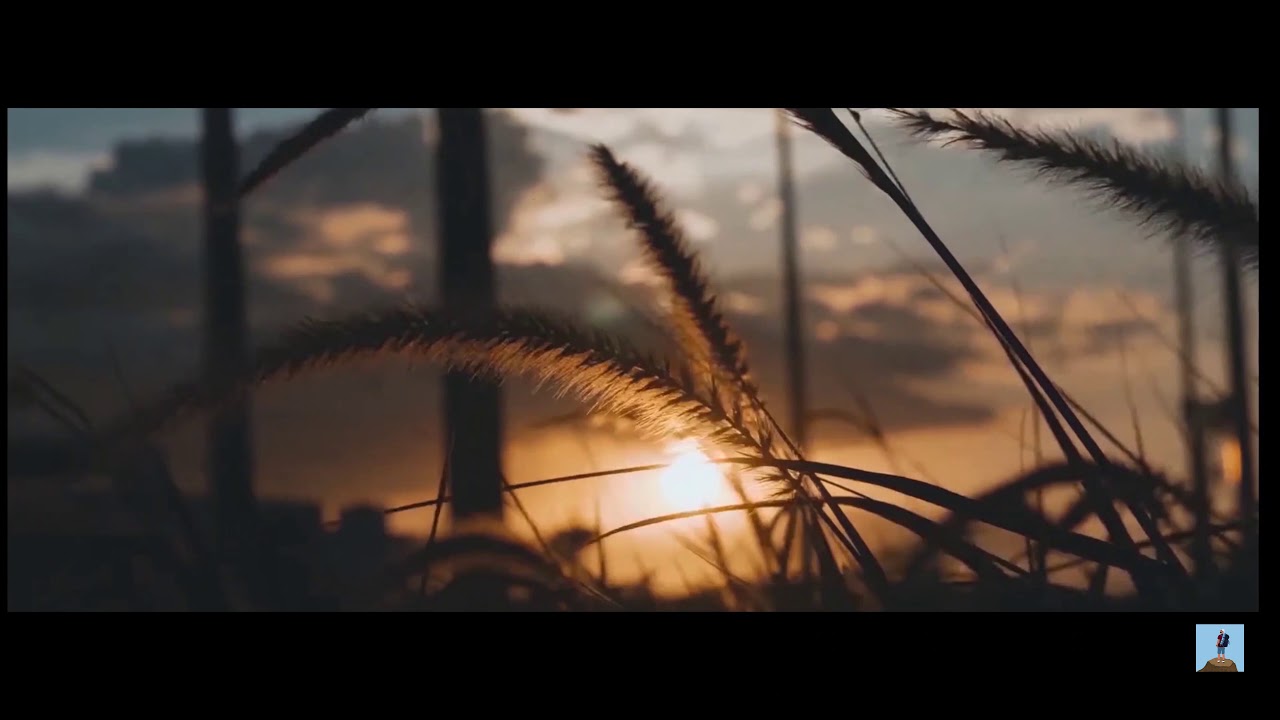 A Walk Into Nature || Cinematic || Travel Video - YouTube