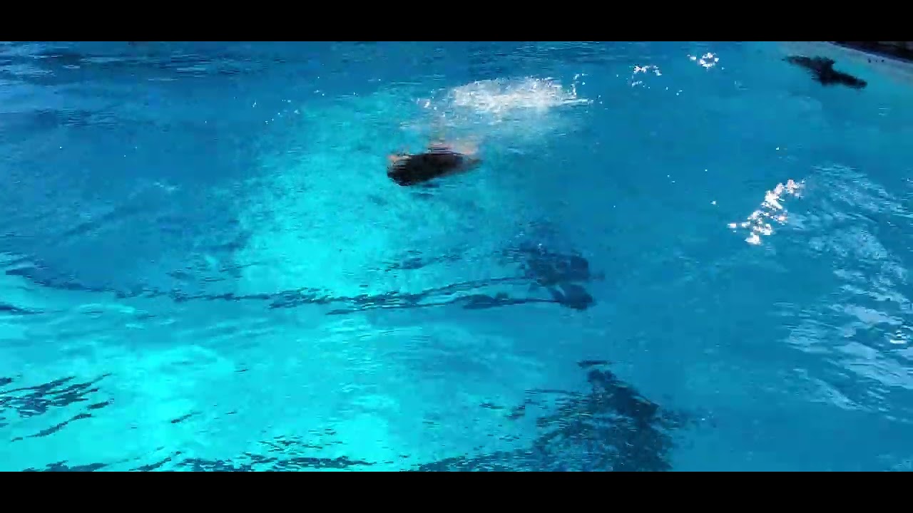 Miri diving board - YouTube
