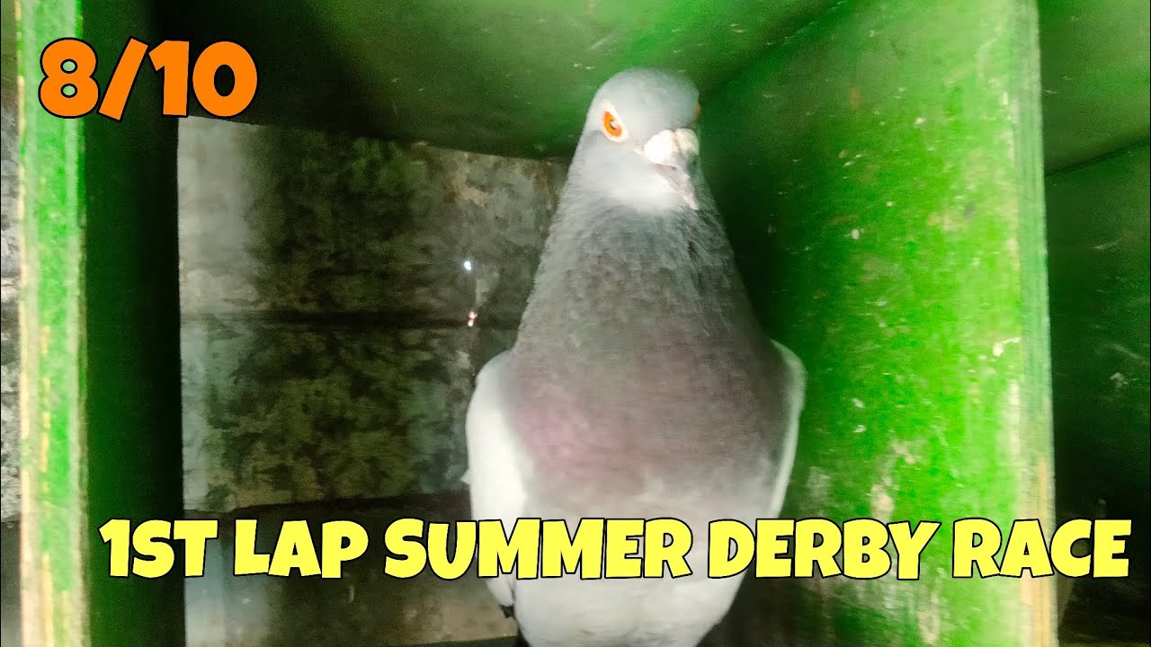 1st lap summer derby race | 8/10 - YouTube