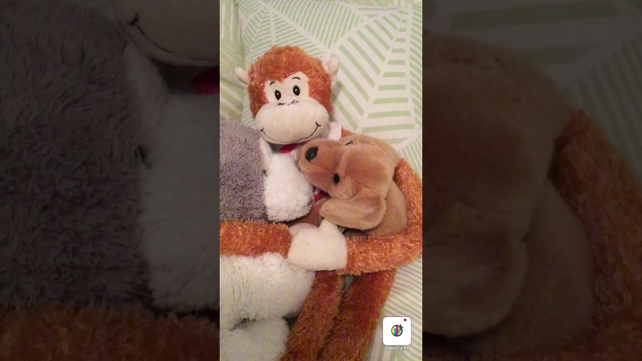 Science Monkey Explores Flexibility - YouTube