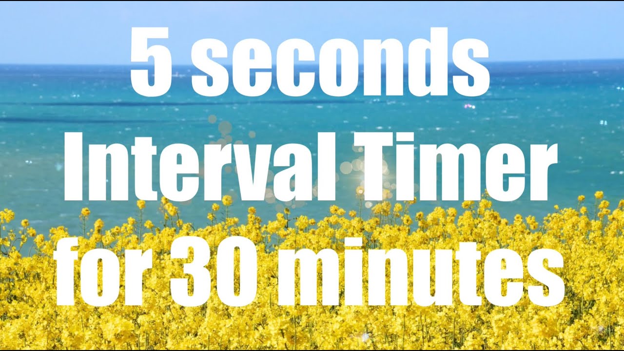 5 Seconds Interval Timer for 30 minutes for free Full HD 1080p - YouTube