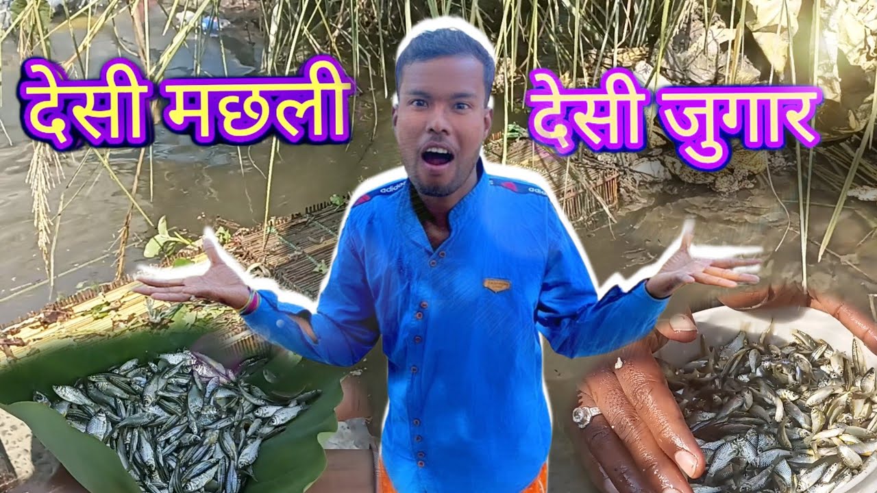 बिहार में मछली कैसे पकड़ा जाता है || bihars fish palan || the real ...