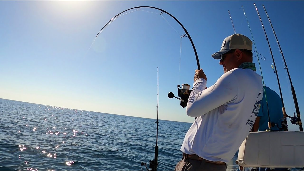 Drop Baits on Reef and Hold On! Underwater View Shows Bait Thieves ...
