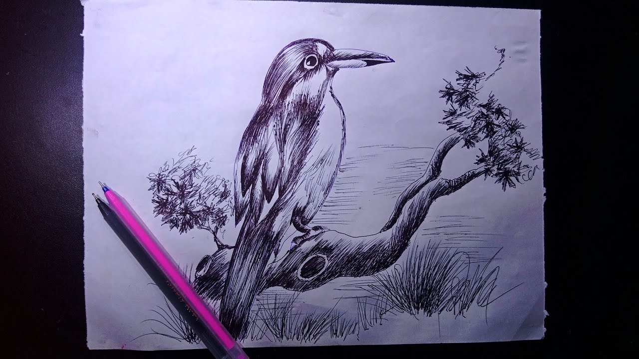 #drawing # ball pen easy step drawing - YouTube