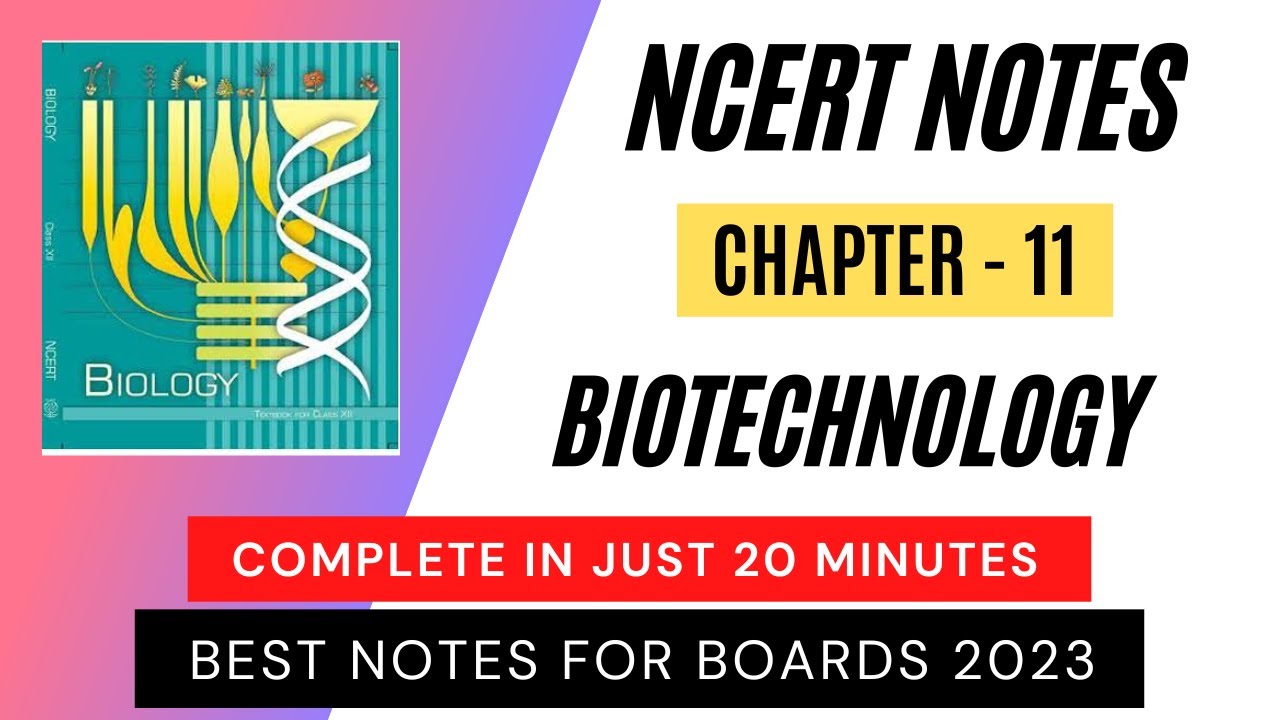 NCERT Chapter 11 Biotechnology Principles and processes Class 12 ...