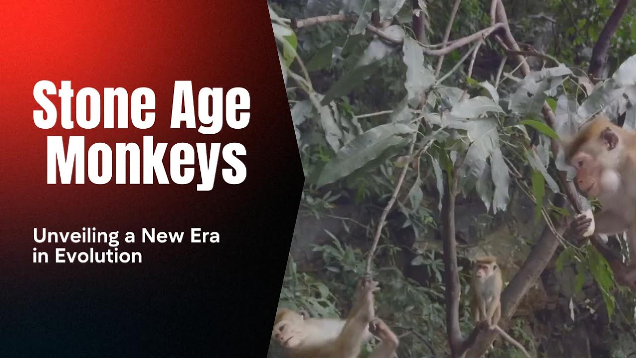 Stone Age Monkeys: Unveiling a New Era in Evolution - YouTube