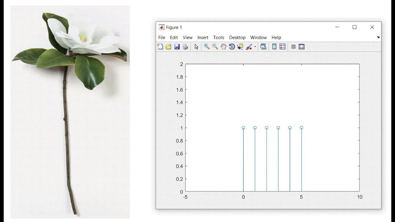 Remember 'stem' keyword with help of Nature | MATLAB | Learn with Fun ...