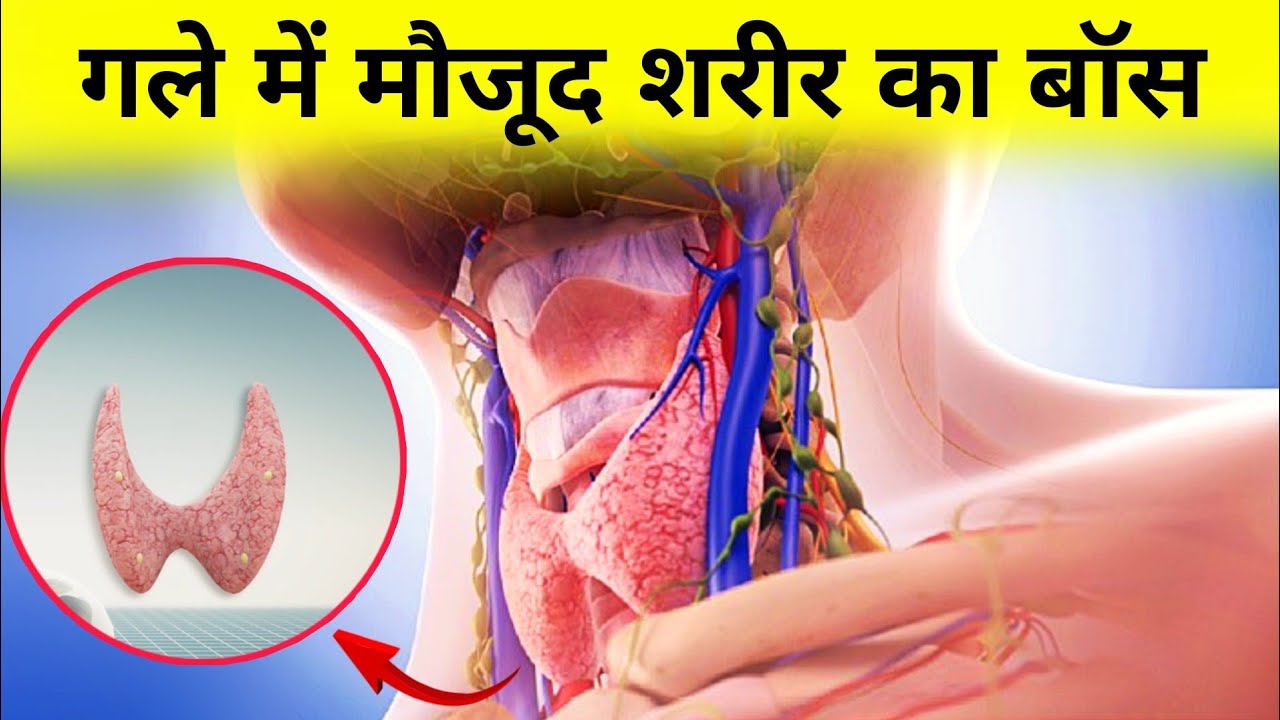 थाइरायड कैसे पूरे शरीर को कंट्रोल करता है - how thyroid control your everything - YouTube