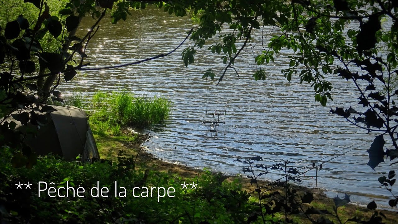 Pêche de la carpe ** 24 h en lac ** Printemps 2019 / FULL HD - YouTube