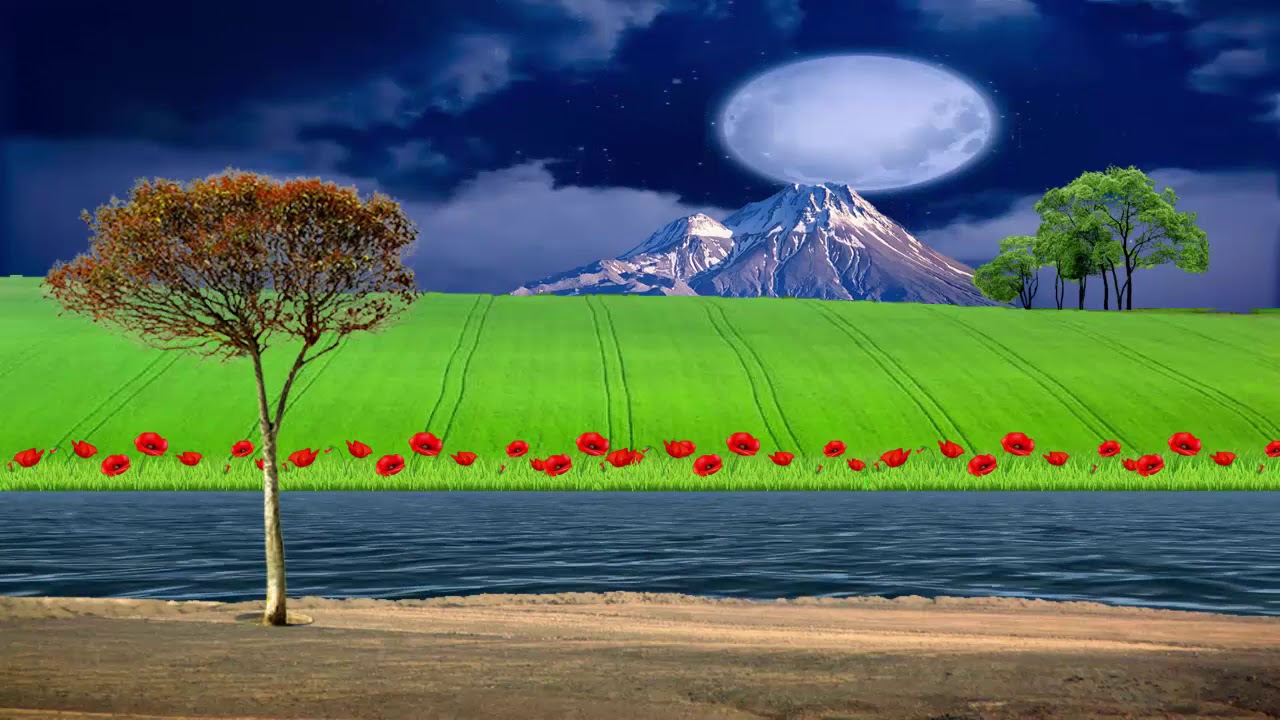 Best nature back ground video no copyright | Best green screen back ...