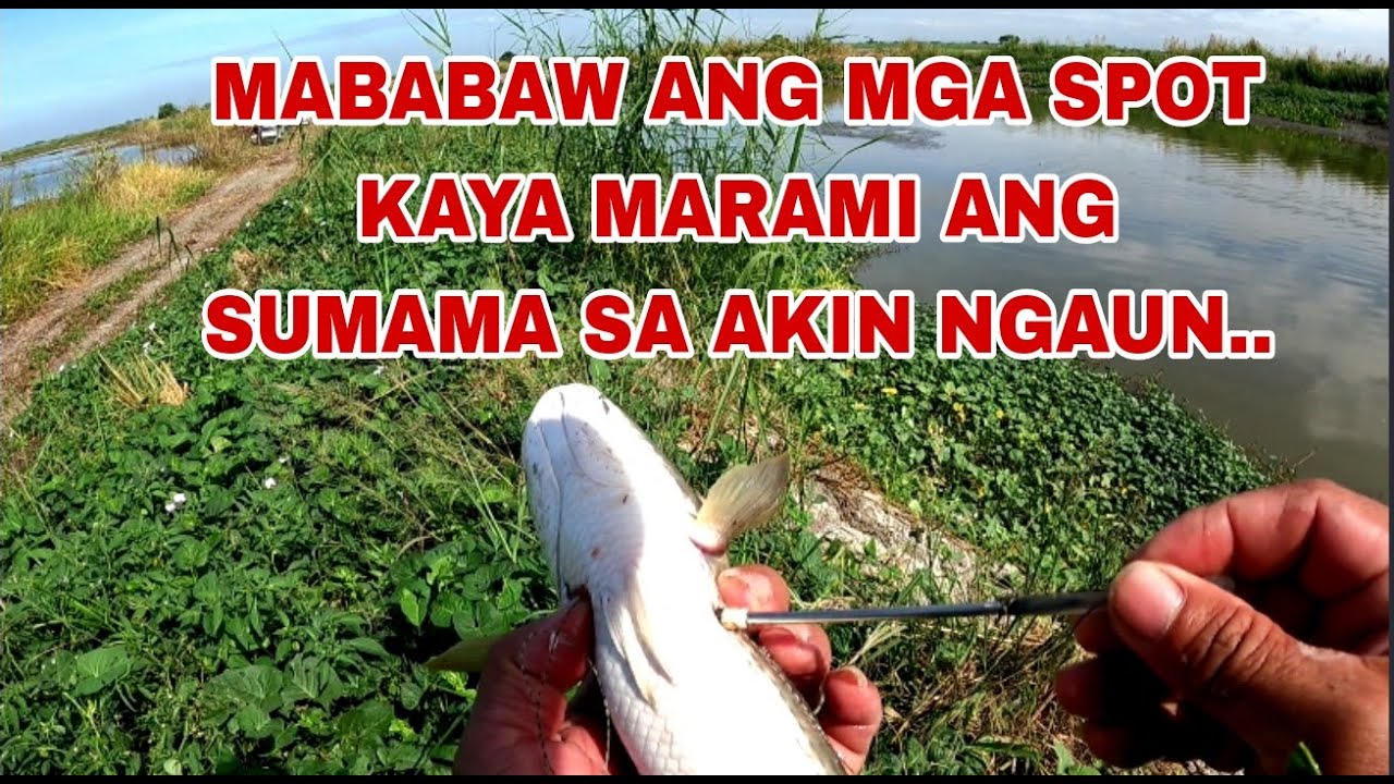 MARAMI DUMATING NA KASAMA BIGLA KASING NAGPABABAW ANG ILOG/Airgun ...
