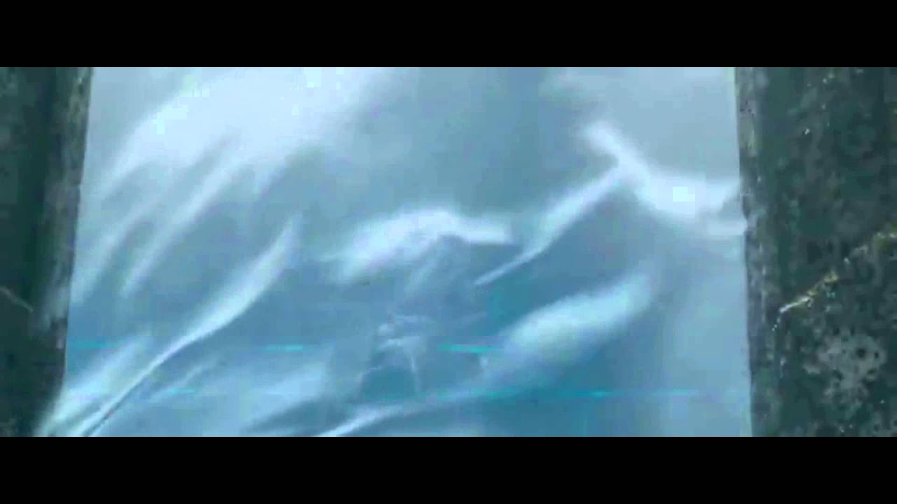 Sirius Blacks Death - YouTube