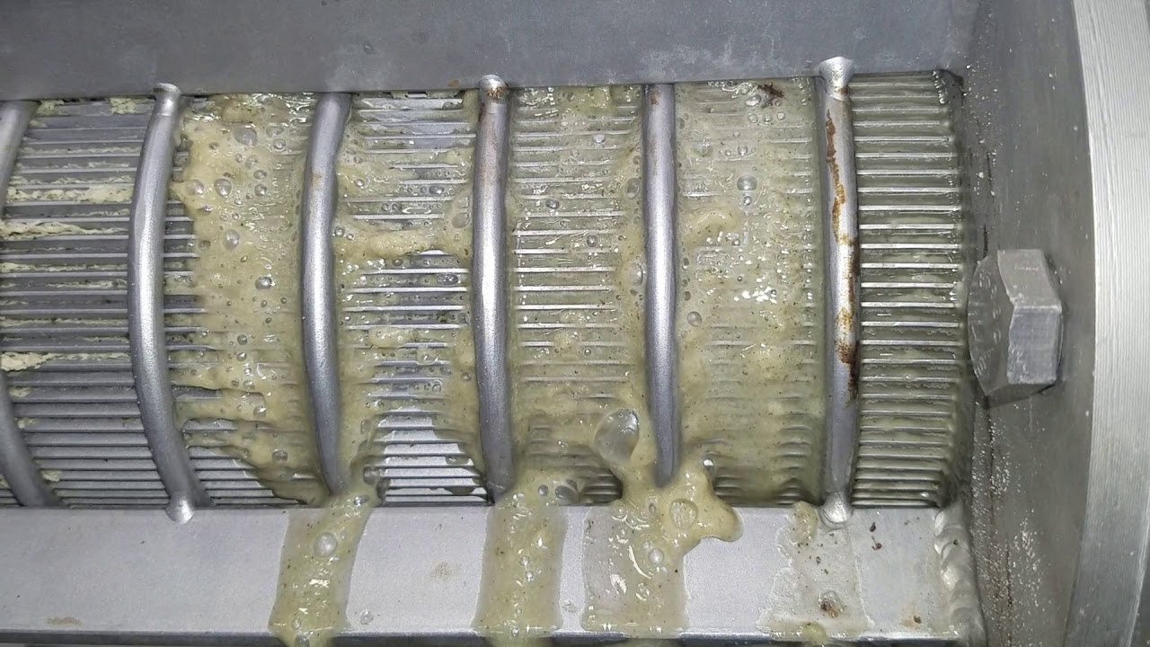 Hemp Hearts First Pressing 65psi, 11 RPM - YouTube