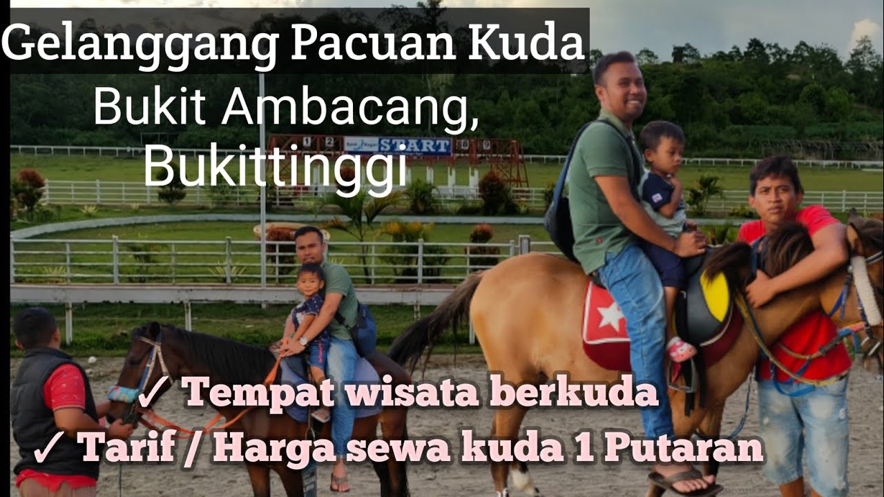 Naik kuda di Bukittinggi - Wisata kuda Bukittinggi - Gelanggang pacuan ...